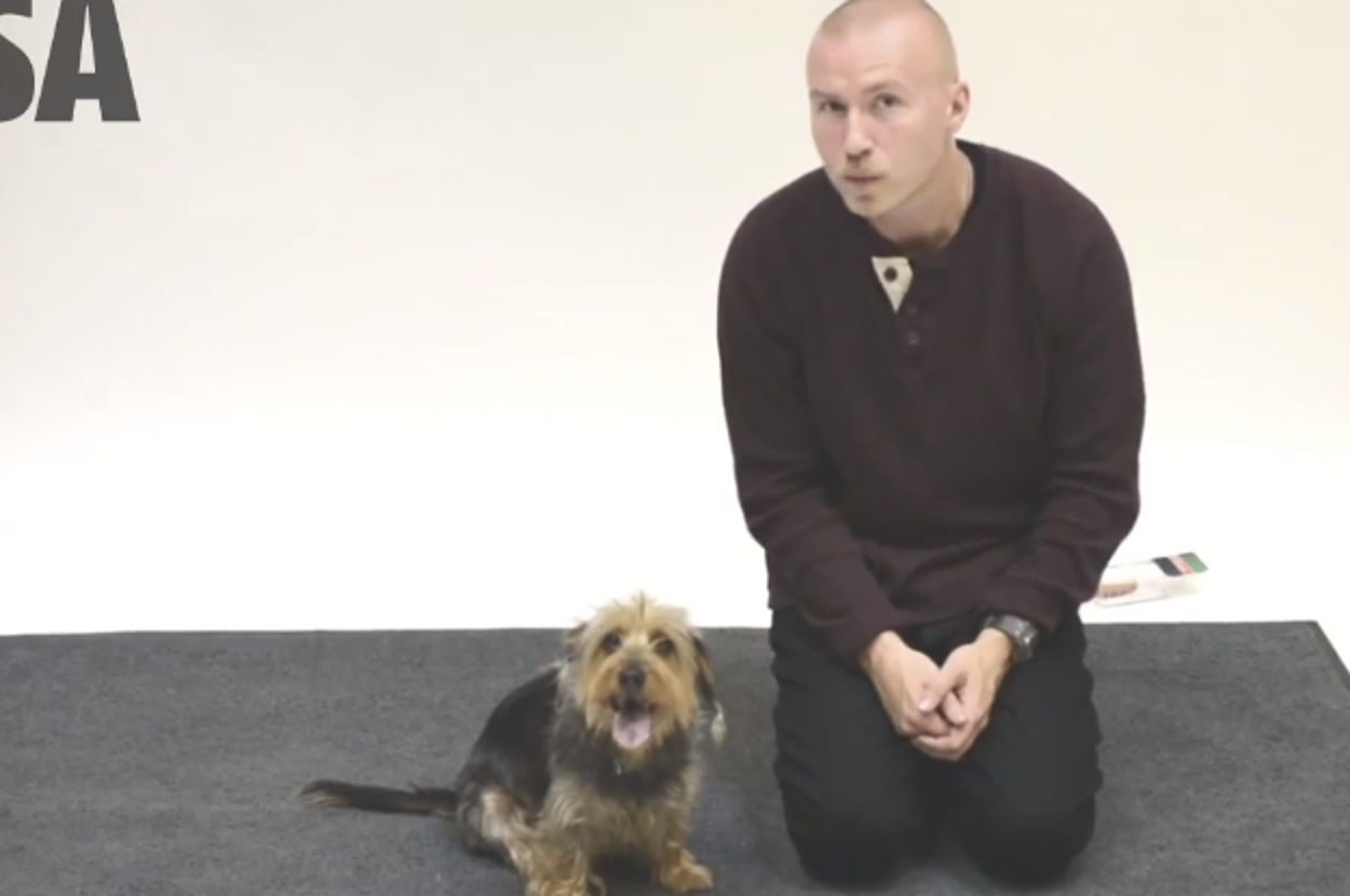 Find Out How Dogs React To Human Barking