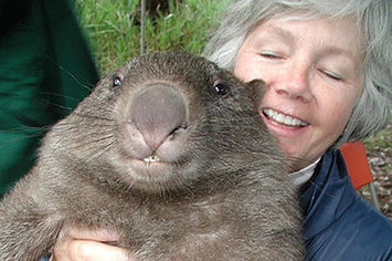 Los 25 wombats más importantes de todos los tiempos