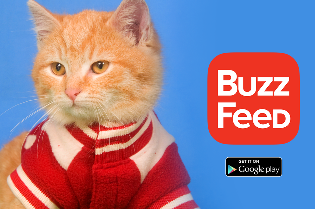 Get The BuzzFeed App For Free