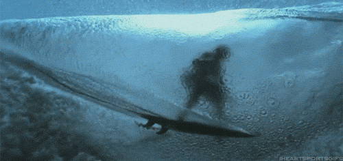 13 Spectacular Underwater GIFs