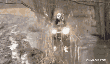 15 Outdoor Fails We Can’t Blame On Mother Nature