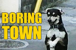 Justin Dailey (justindailey) on BuzzFeed