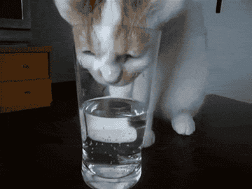 13 Easy Ways To Drink More Water Every Day