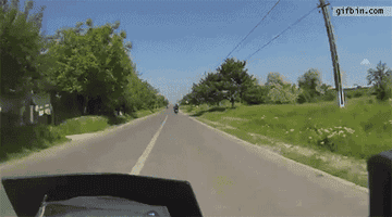 19 Ridiculously Intense, White-Knuckle Action GIFs