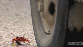19 Ridiculously Intense, White-Knuckle Action GIFs