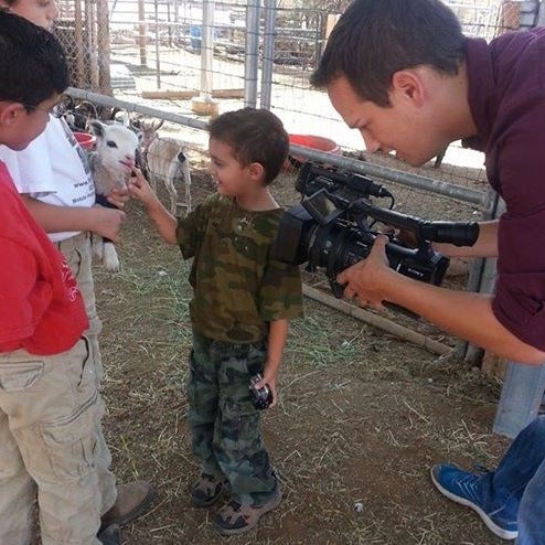 Meet Butterfly The Geep, An Extremely Rare Goat-Sheep Hybrid Born In ...
