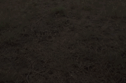 These Coworkers Recreated The Scene In "Office Space" Where They ...