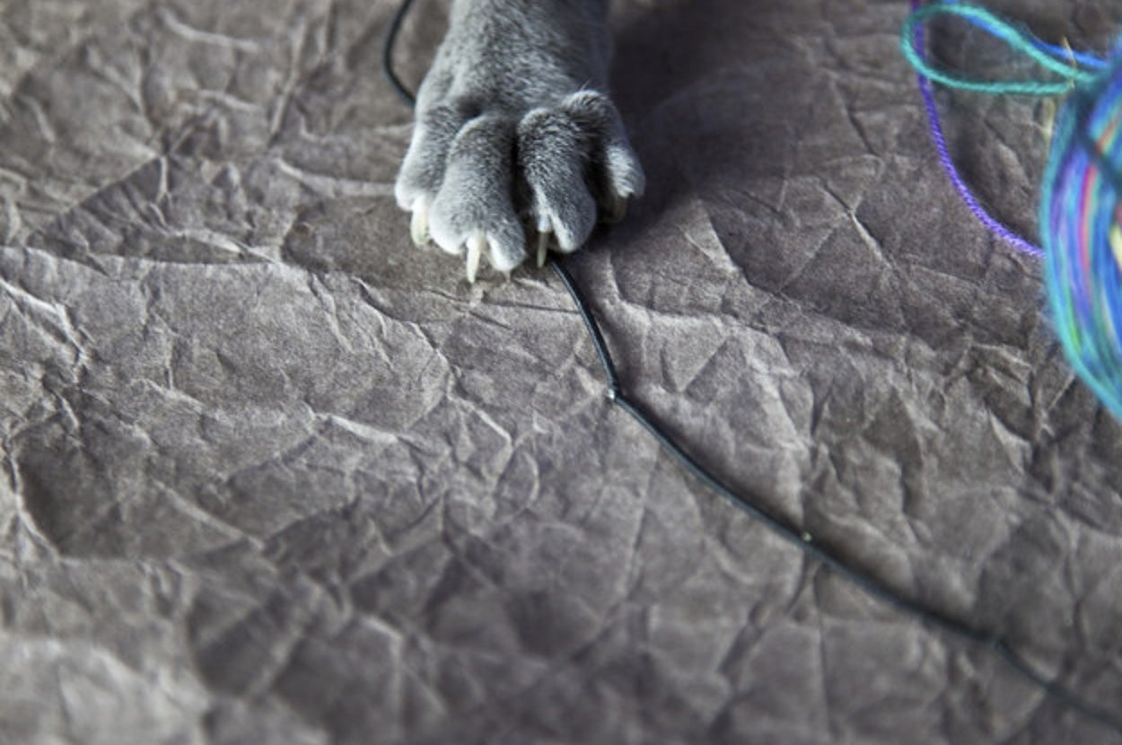 A 34-Step Guide To String Theory, As Explained By Cats