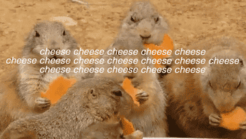 13 Haikus That Accurately Portray Your Love Of Cheese