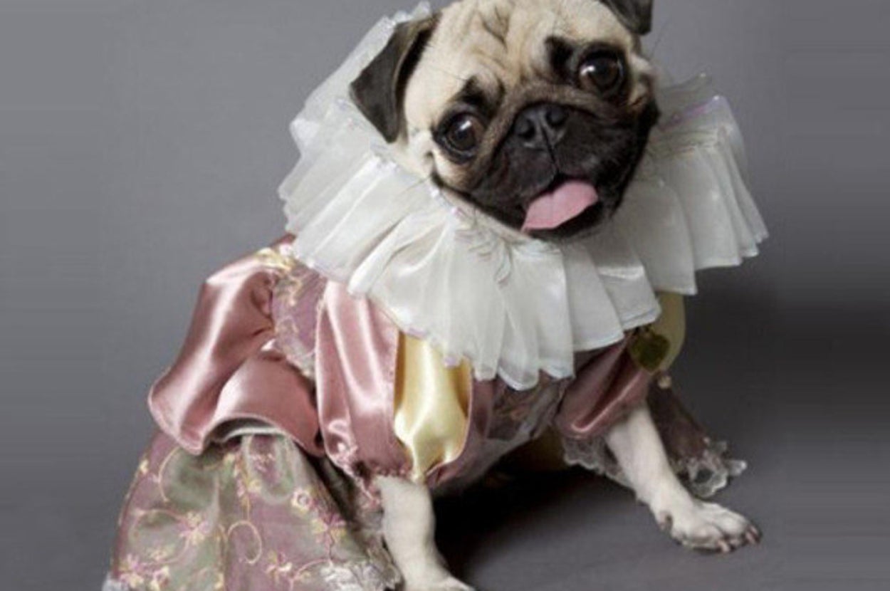 There's Going To Be A Production Of "Hamlet" Performed Entirely By Pugs