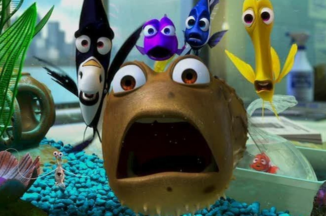 19 Secrets Everyone Who Has A Pet Fish Won't Tell You