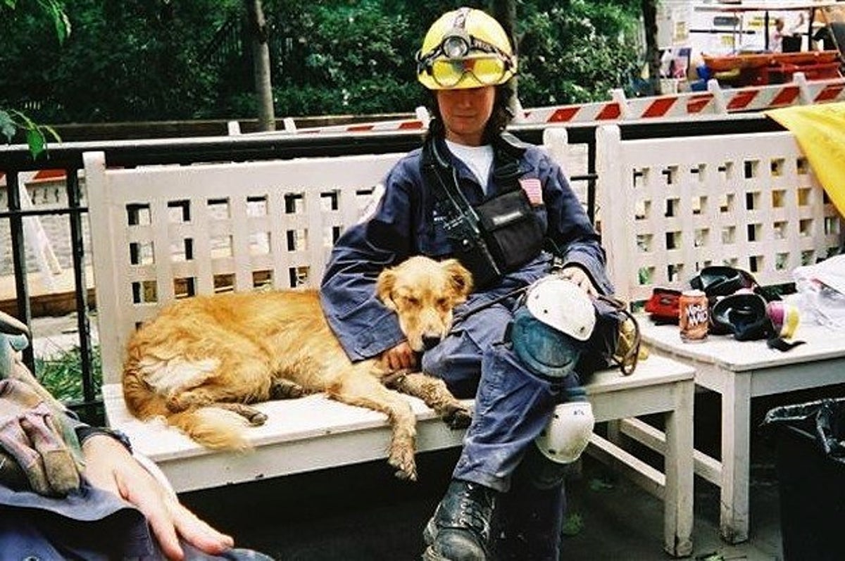 Meet Bretagne, The Last Known 9/11 Service Dog That Worked At Ground Zero