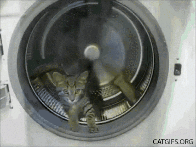 36 Little Things That Will Actually Make Your Life Better