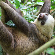 What Kind Of Guys Do You Attract?