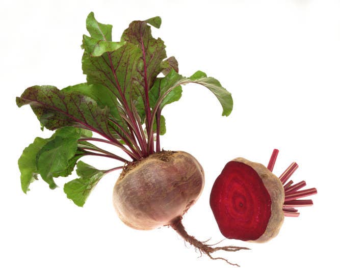 identify root vegetables