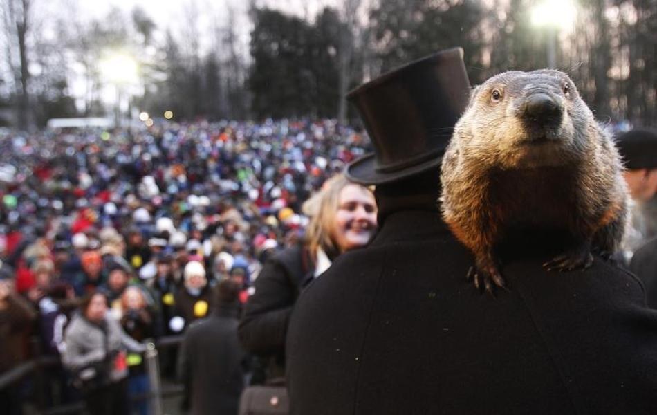 Zoo Reveals Groundhog Dropped By New York Mayor Later Died