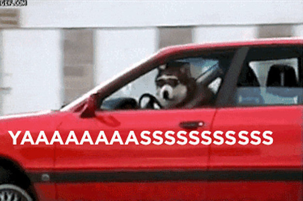 14 Situations That Are YAAASS-Worthy