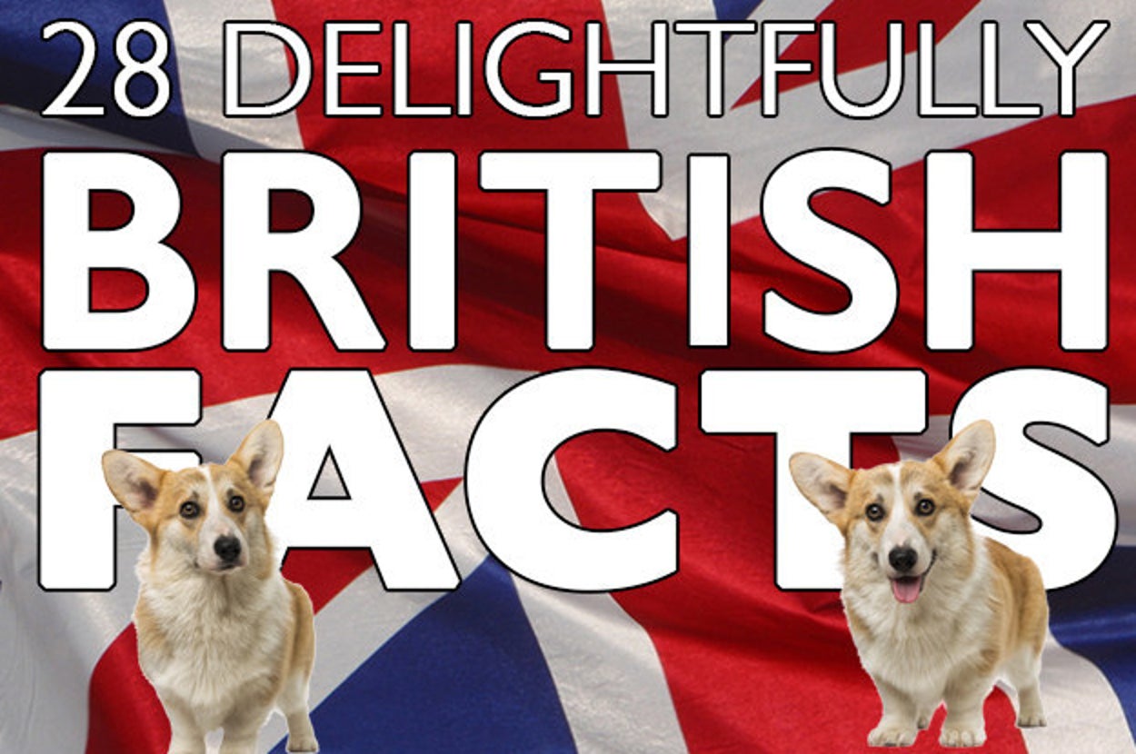 28 Of The Most Delightfully British Facts Ever