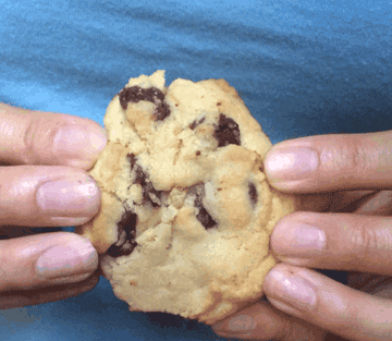 14 Excuses We’ve All Used To Eat Cookies
