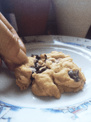 14 Excuses We’ve All Used To Eat Cookies