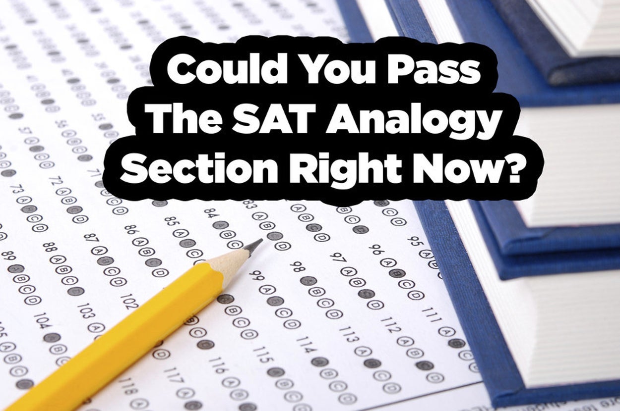 Could You Pass The SAT Analogy Section Right Now?