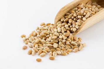 Ultimate list of grains - netzing