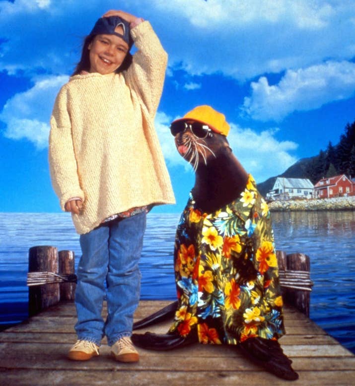 Andre the Seal - Alchetron, The Free Social Encyclopedia