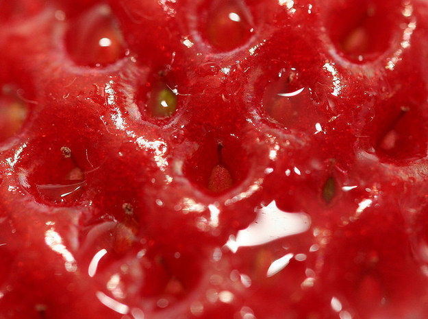 21 Foods You Should Never Eat If You Have Trypophobia