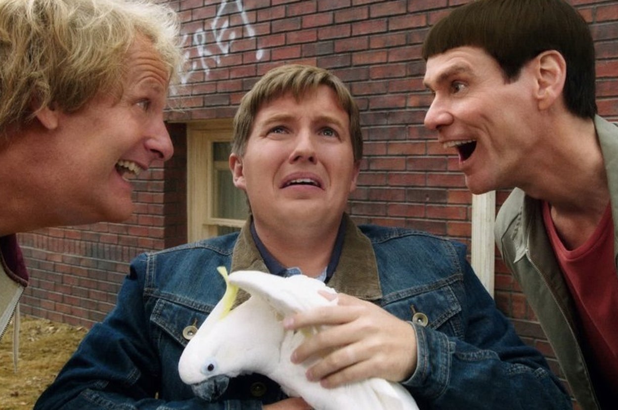 11 Semi-Serious Thoughts On The Gloriously Stupid “Dumb And Dumber To“