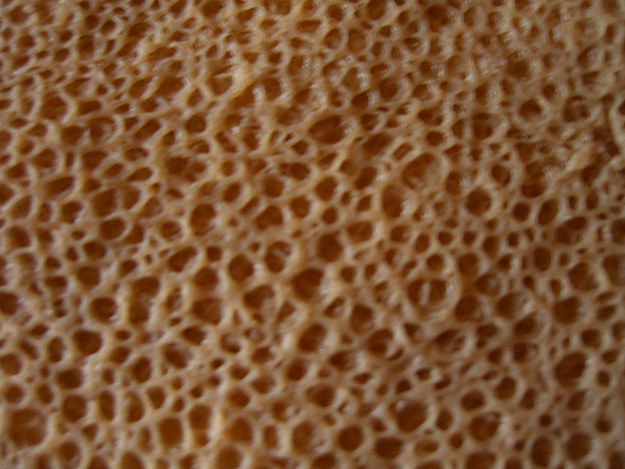 21 Foods You Should Never Eat If You Have Trypophobia