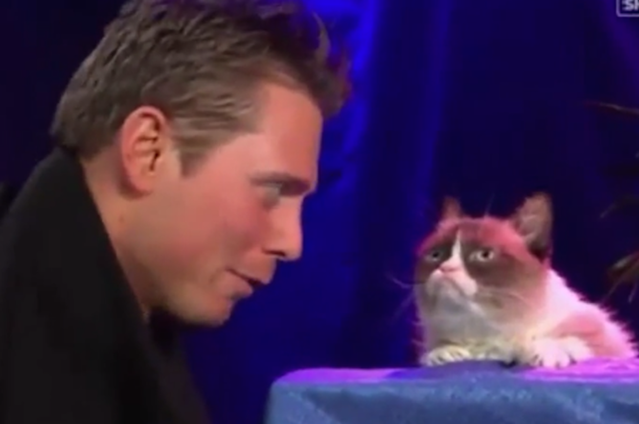 Grumpy Cat Just Hosted WWE Raw And She Was Not Impressed