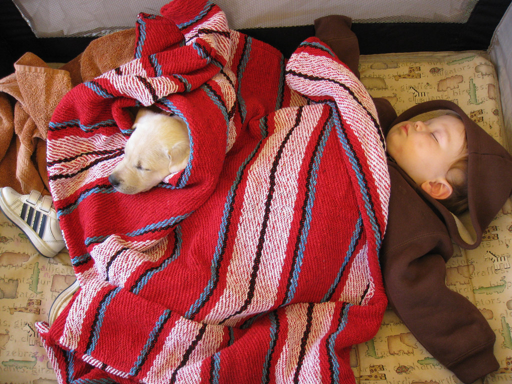 18 Animals That Are Pushing It A Little Too Far