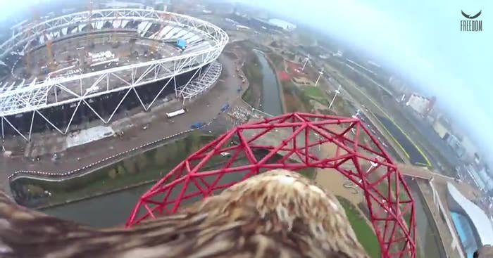 This Is What London Looks Like To An Eagle