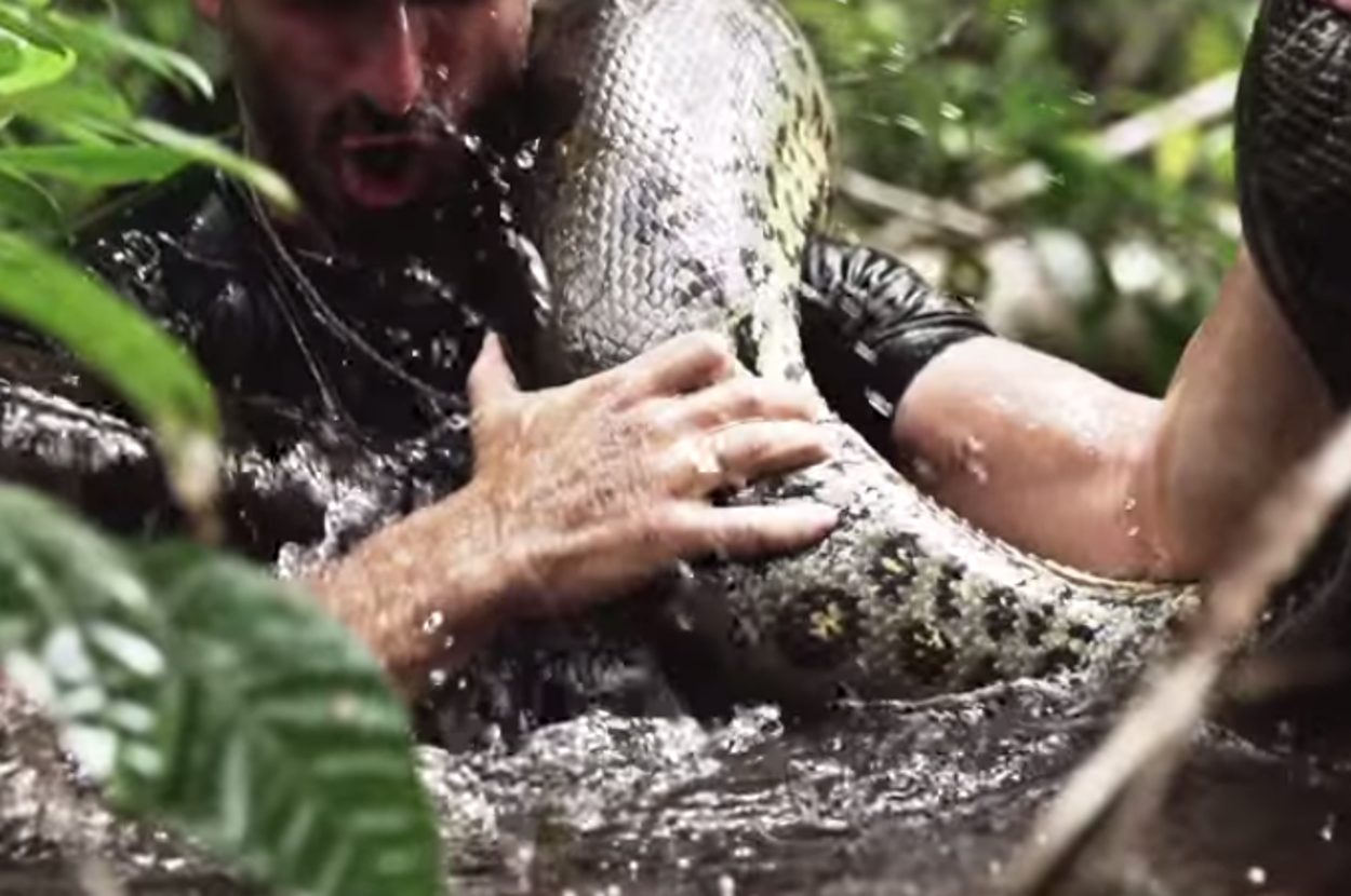 How Can A Snake Swallow A Human Being?