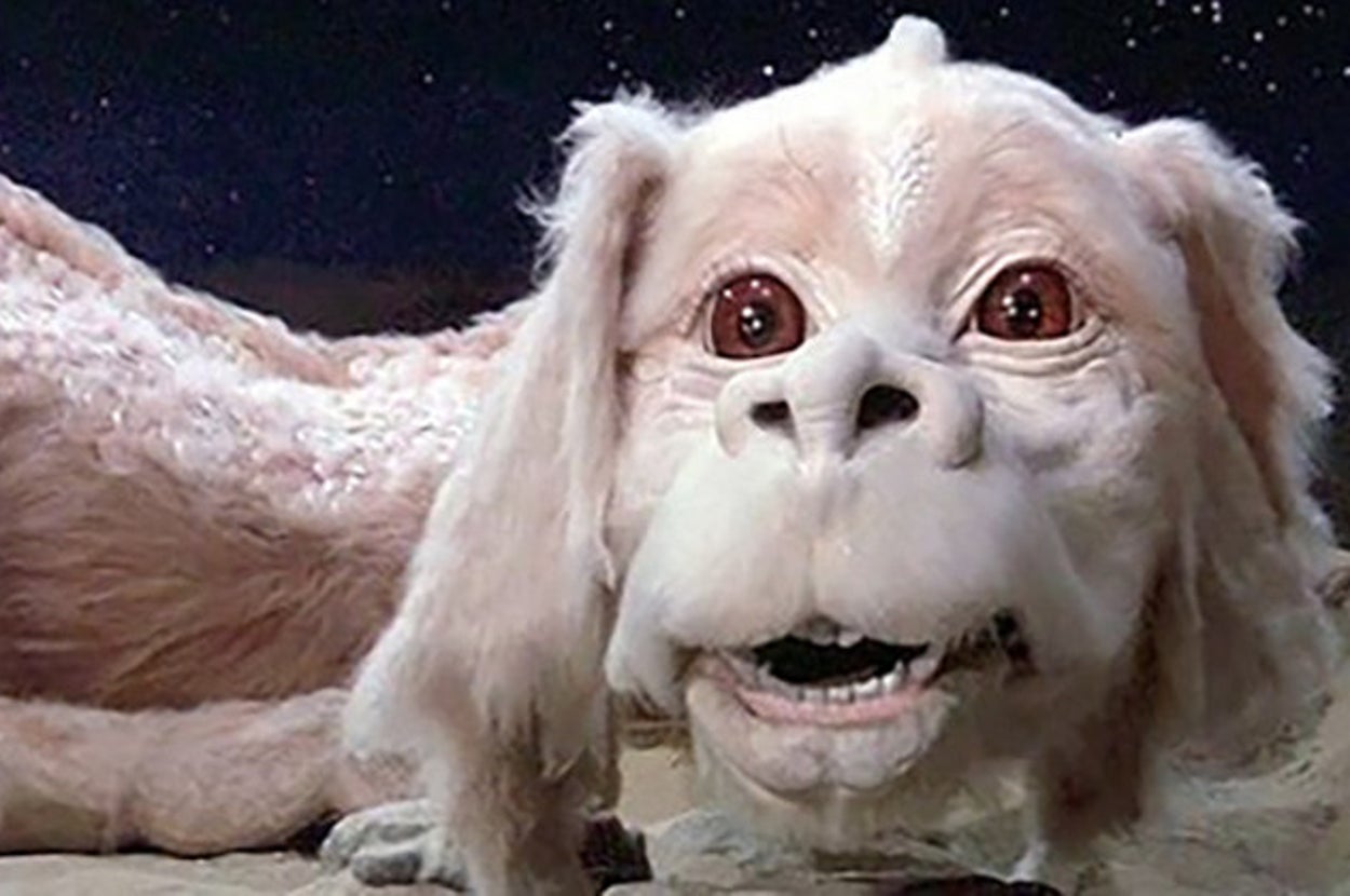 16 Dream Pets That Ruled The ’80s
