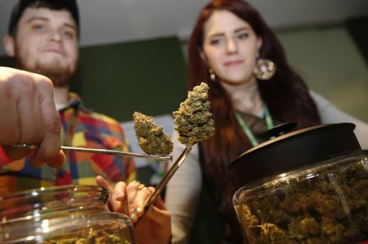 Colorado Pot Shops Make Deals On Marijuana For “Green Friday”