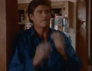 25 GIFs That Pay Tribute To Germany's Love Of David Hasselhoff