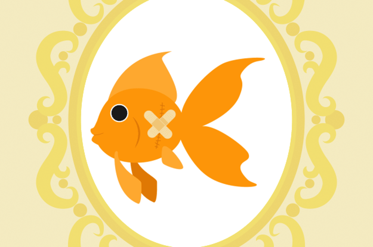 An Illustrated Guide To The Most-Searched Animals Of 2014