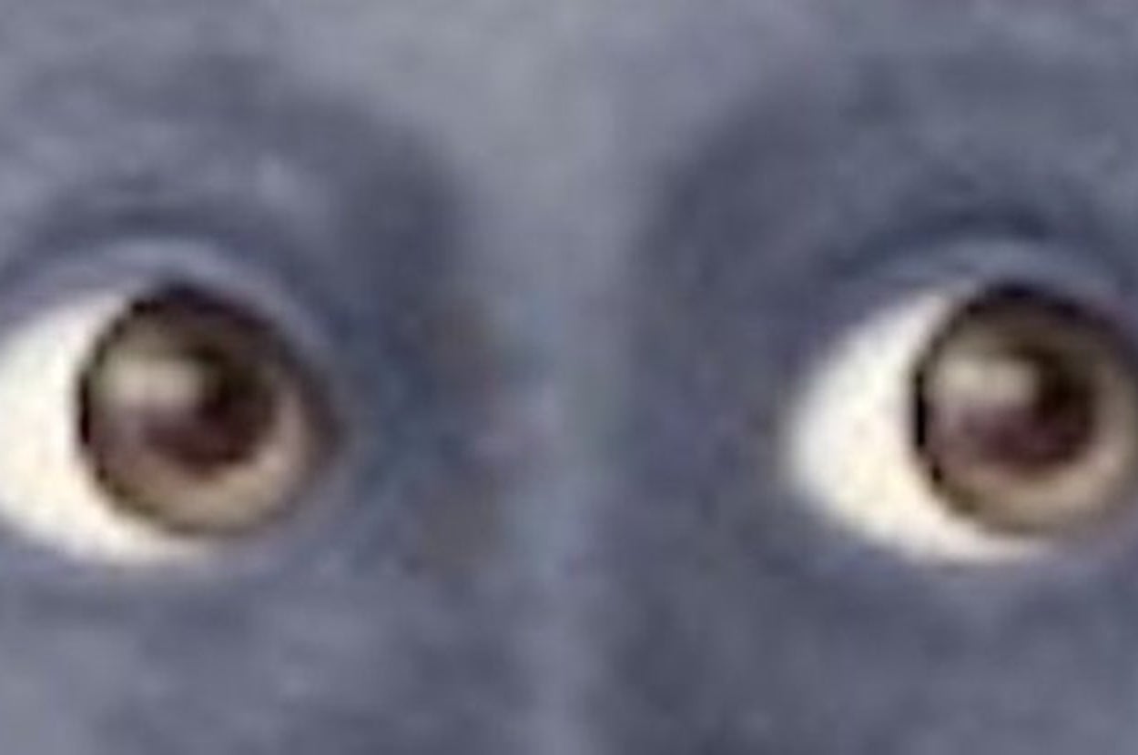 17 Underrated Emojis You Should Start Using