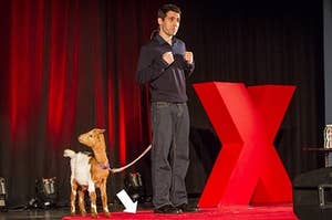 flybuddha on BuzzFeed