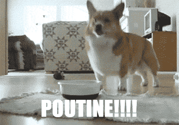 14 Mouthwatering Facts About Poutine
