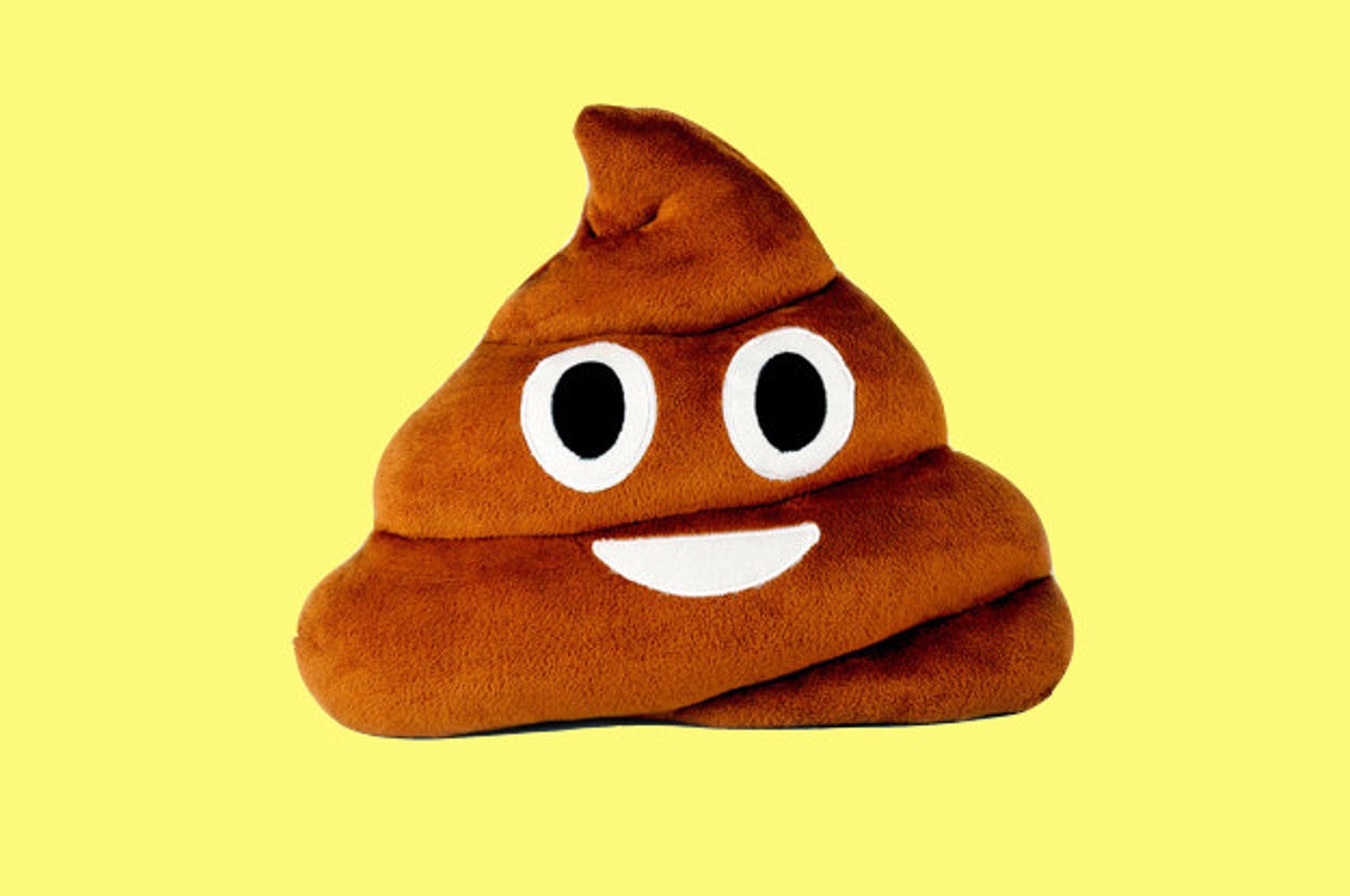 24 Poop Emoji Gifts Literally Everyone Needs