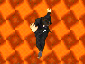 41 GIFs Of Stephen Colbert Dancing