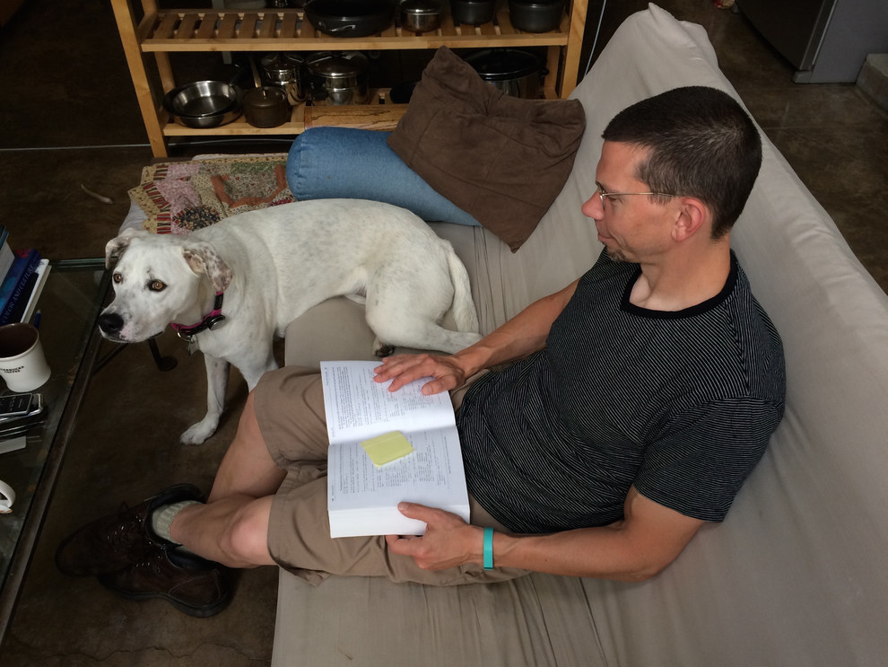 17 Rescue Dogs Who Are Loving Their Second Chance At Life