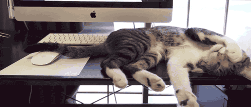 16 Ways To Take A Break