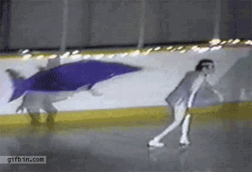12 GIFs That Prove You Should Always Expect The Unexpected
