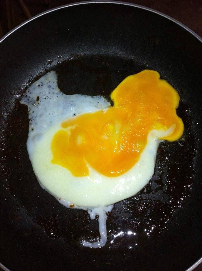 Esta genial foto resuelve el dilema del huevo y la gallina