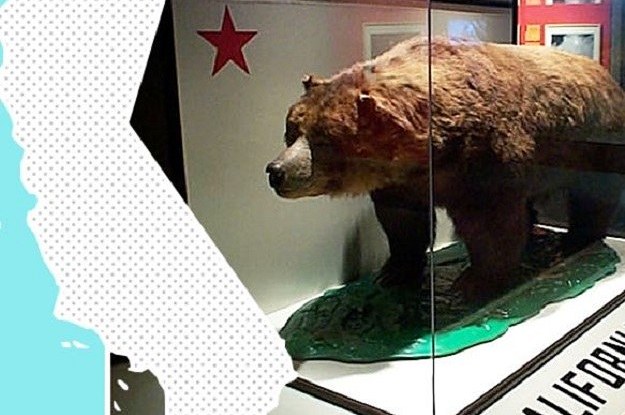 50 Wonderfully Embarrassing Facts About Each U.S. State