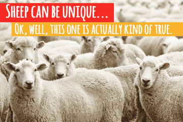 10 Animal Stereotypes That Just Aren't True, So Stop It