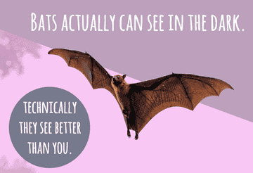 10 Animal Stereotypes That Just Aren't True, So Stop It